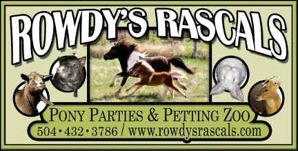 Rowdy's Rascals Miniature Horse Events